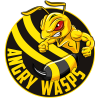 The FT Sport Journal #17